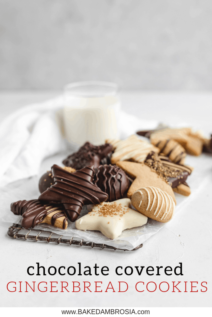 Chocolate Covered Gingerbread Cookies - Baked Ambrosia